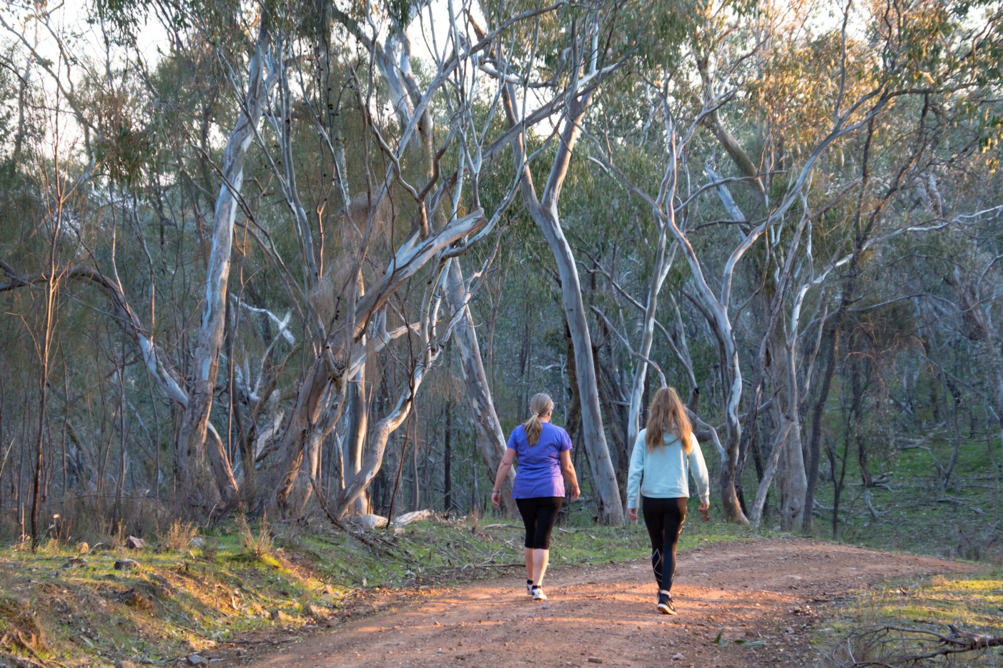 Search things to do in Beechworth, Victoria