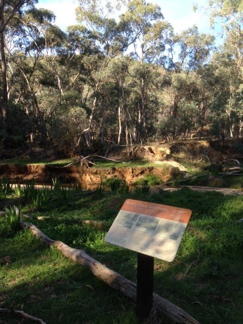 Powder Magazine to Woolshed Falls - Beechworth