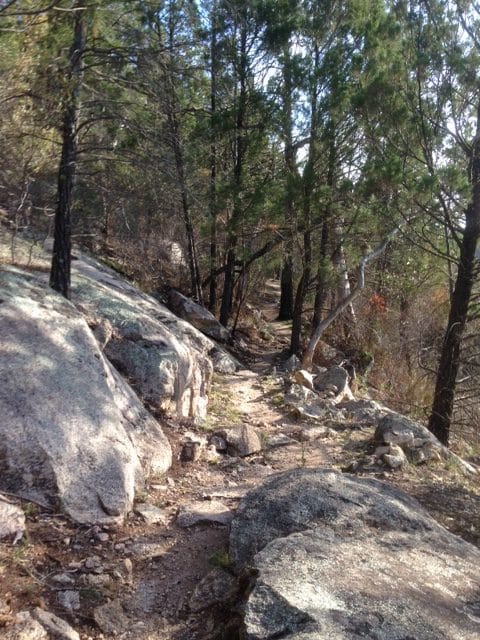 Powder Magazine to Woolshed Falls - Beechworth