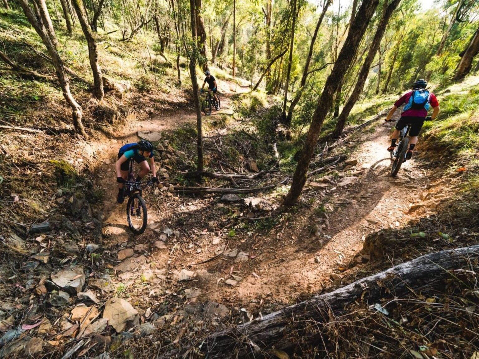 Search things to do in Beechworth, Victoria